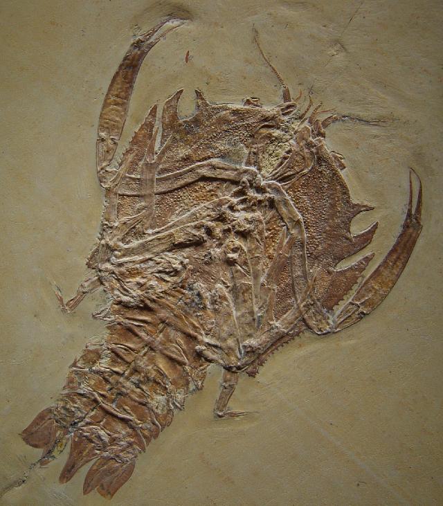 Eryon - Alchetron, The Free Social Encyclopedia